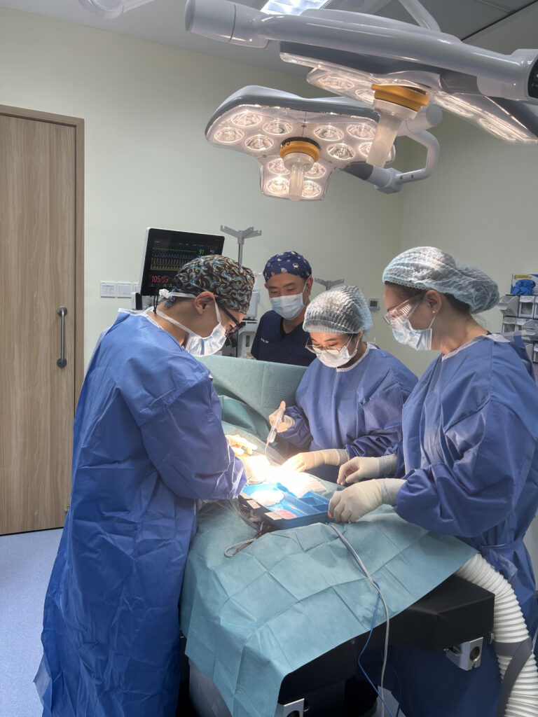 Ambulatory Surgical Centre Services - Paediatric Surgery & Urology ...